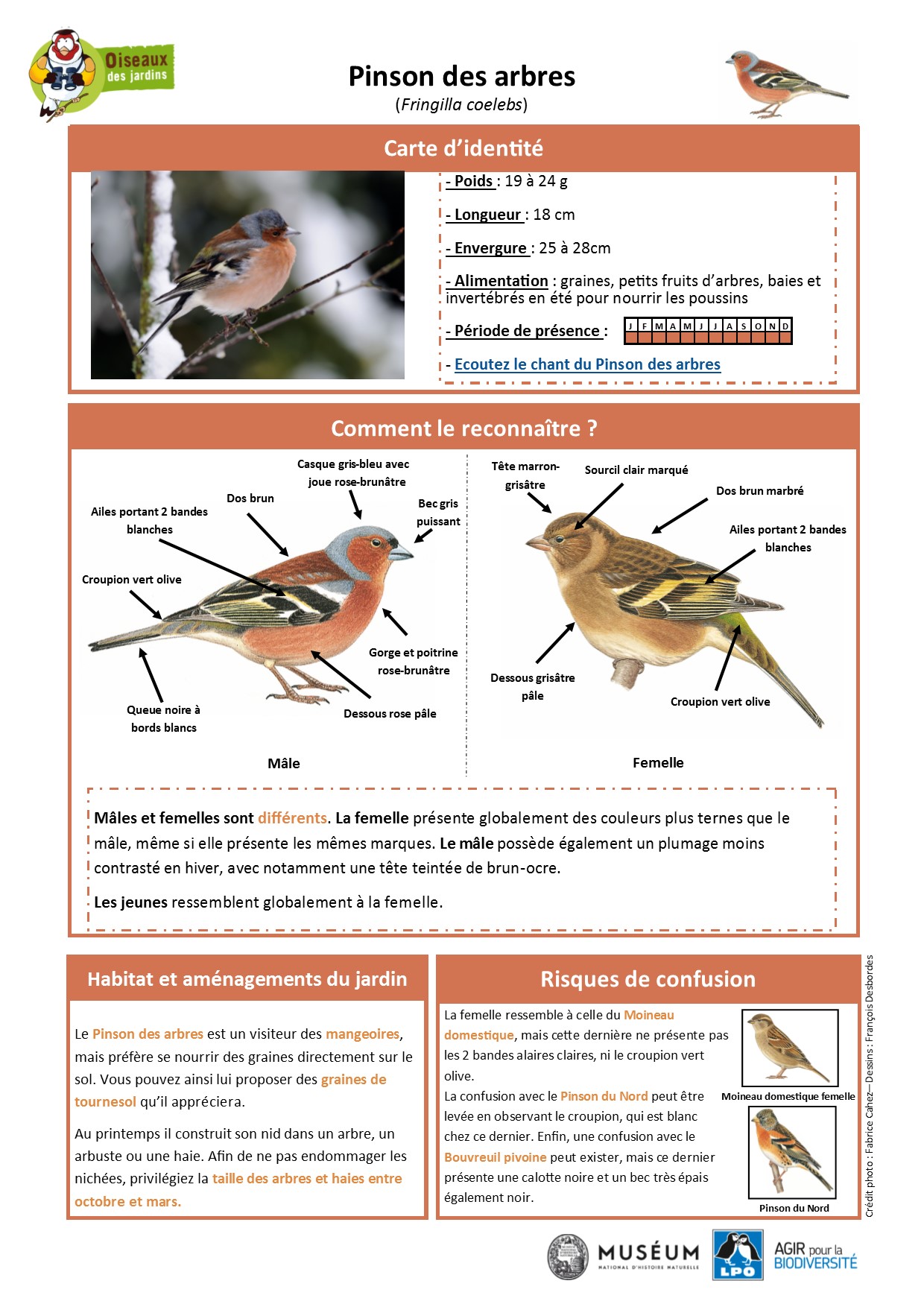 Toutes les fiches espèces - www.oiseauxdesjardins.fr